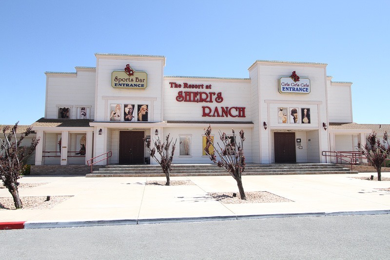 What a Sex Professional Has to Say About Men and Penis Stretchers